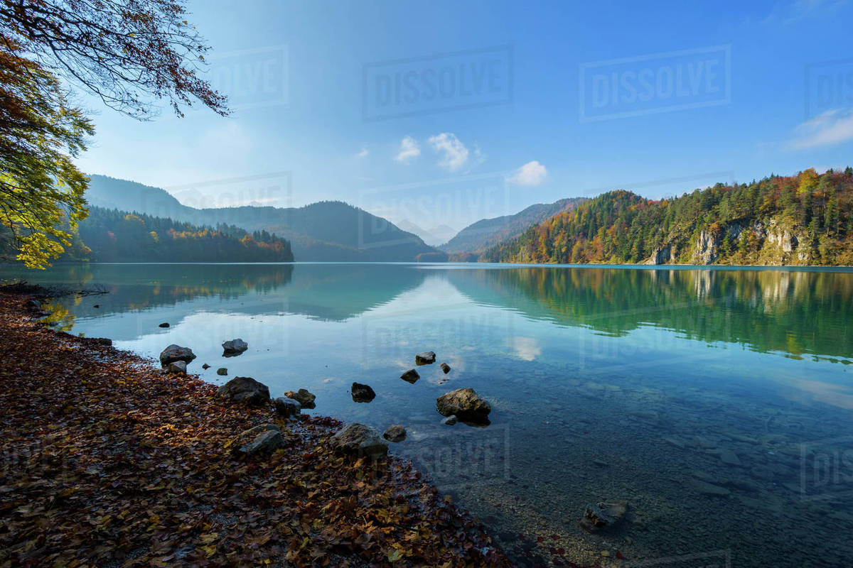 Scenic of Lake Alpsee in Autumn, Fussen, Swabia, Allgau, Bavaria ...