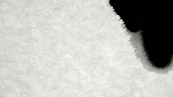 Black ink bleed into paper, running from top to bottom - Stock Video ...