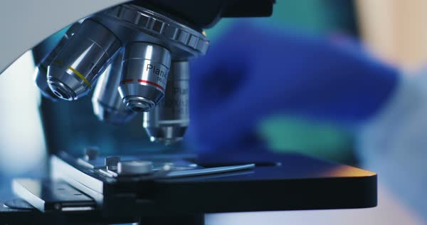 Monitor showing bacteria to a sample under a microscope - 4K Royalty ...