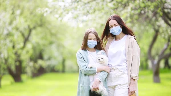 Dmitrii Travnikov | Dissolve