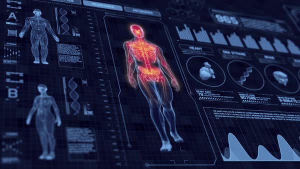 Full Body Anatomy Scan with Futuristic Blue Diagnosis Screen Interface ...