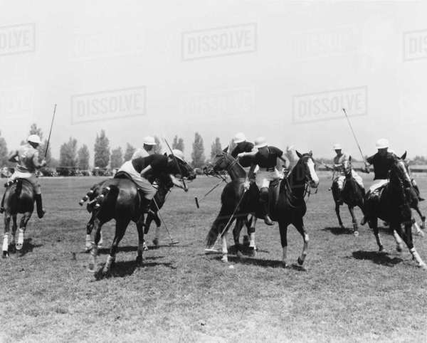 Polo match - Stock Photo - Dissolve