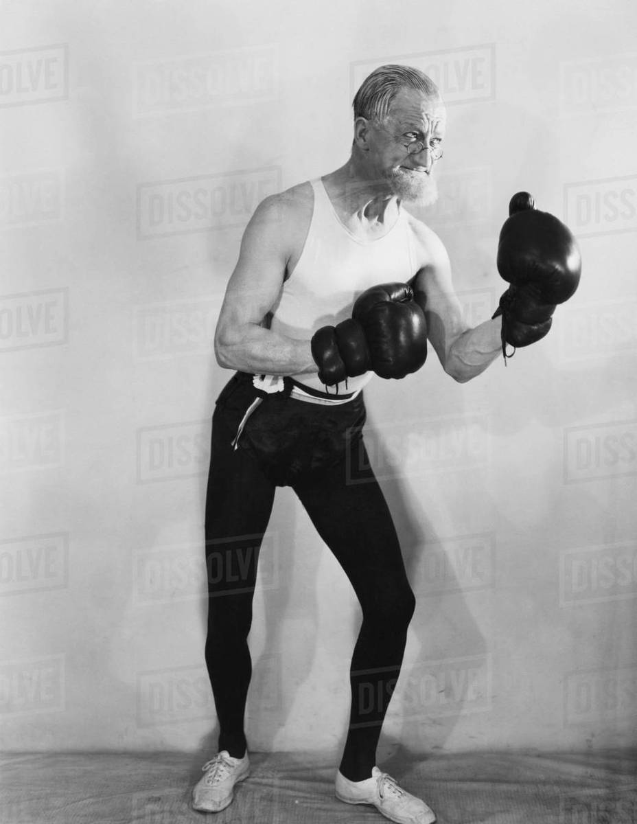 Portrait of mature boxer - Stock Photo - Dissolve
