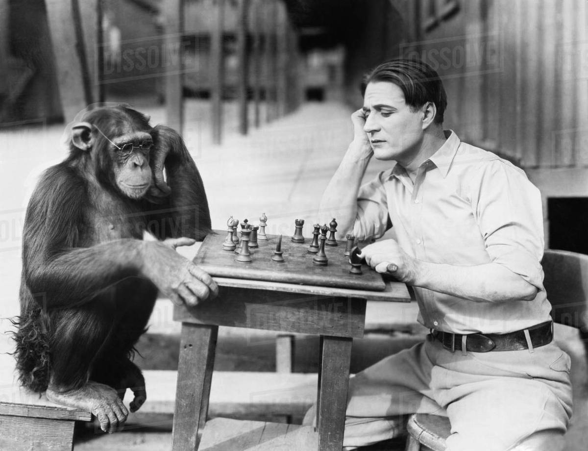 Man playing chess with monkey - Royalty-free Stock Photo | Dissolve