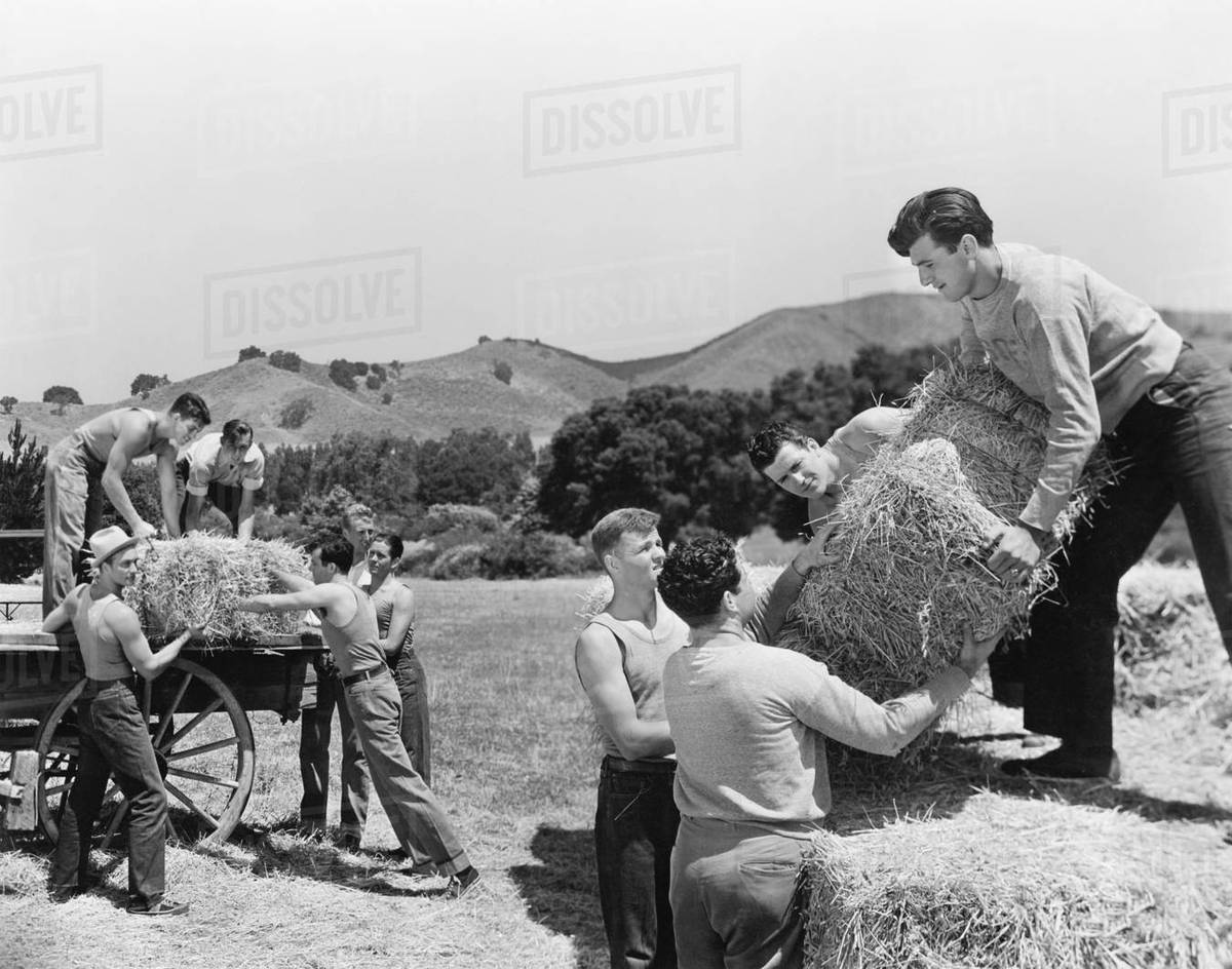 Men working on a farm loading hay - Royalty-free Stock Photo | Dissolve