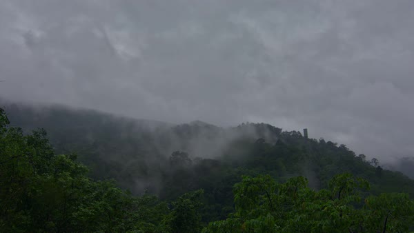 Mist rises over dense forest during Monsoon season in Western Ghats ...