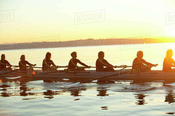 Team rowing boat in bay - Royalty-free Stock Photo | Dissolve