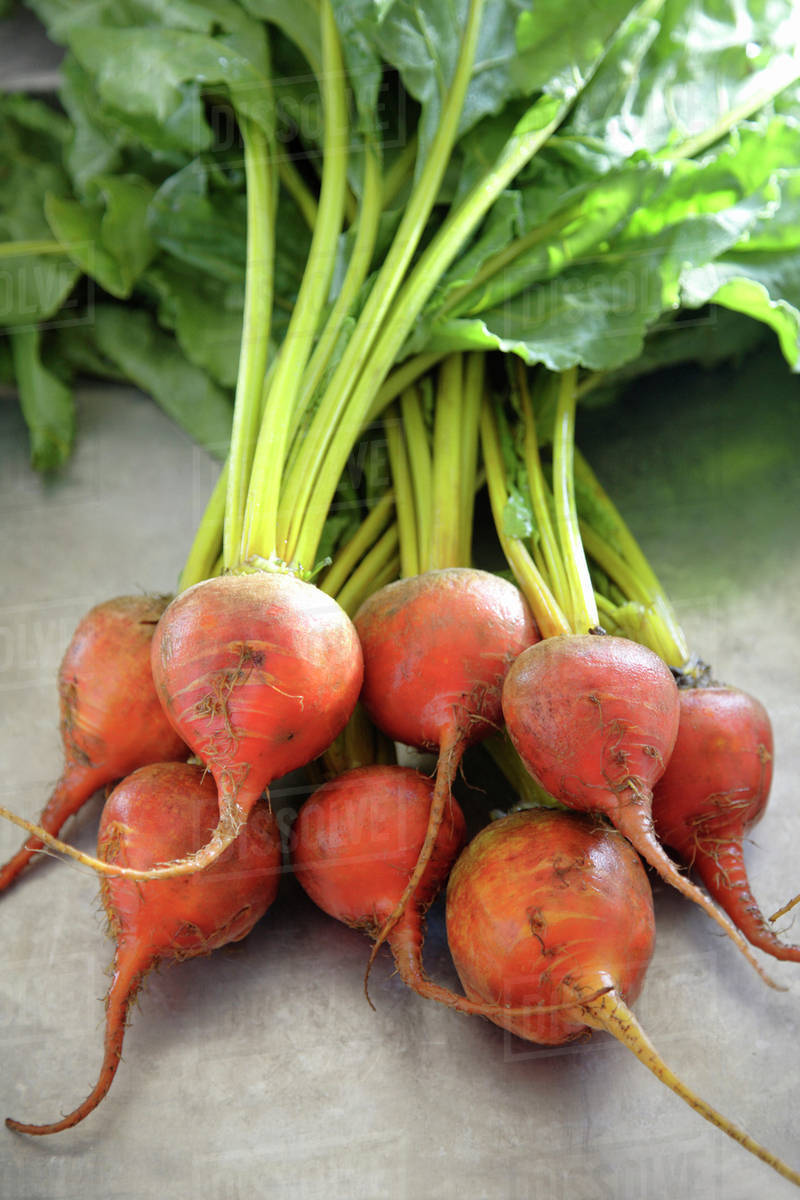 Close up of beets - Royalty-free Stock Photo | Dissolve