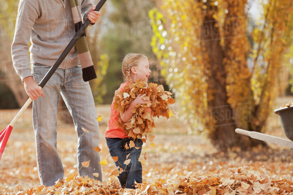 Caucasian father and daughter raking autumn leaves - Royalty-free Stock ...