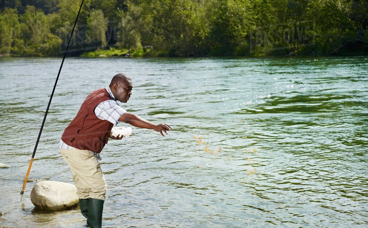 Black man throwing chum into stream - Stock Photo - Dissolve