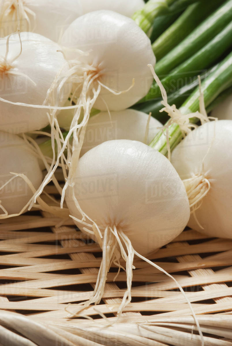 Close up of onions - Royalty-free Stock Photo | Dissolve
