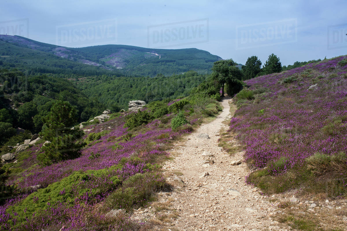 Dirt path on rural hillside - Stock Photo - Dissolve
