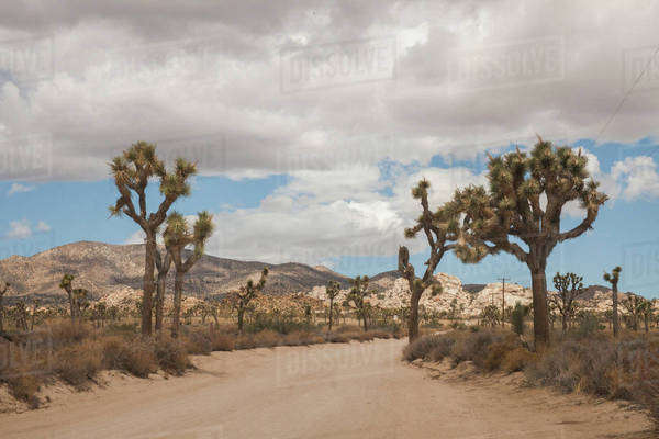 Empty road in rural desert landscape - Stock Photo - Dissolve