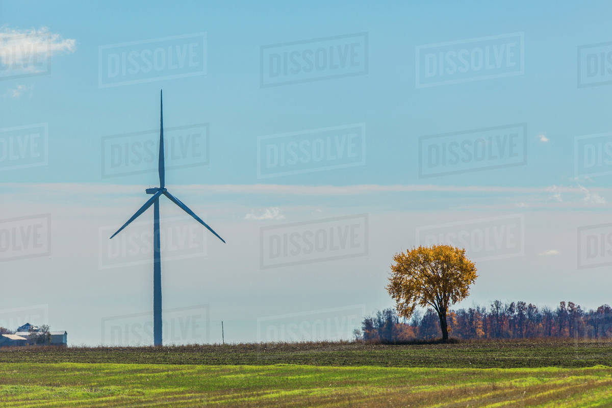 Wind turbine in rural field - Stock Photo - Dissolve