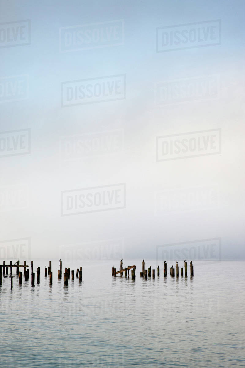 Wooden poles in ocean under cloudy sky - Royalty-free Stock Photo ...