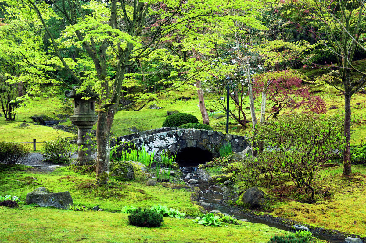 Bridge over stream in rural field - Royalty-free Stock Photo | Dissolve