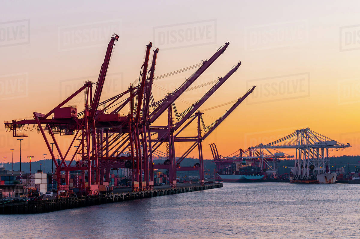 Container cranes in industrial shipyard at sunrise - Stock Photo - Dissolve