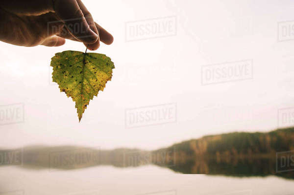 Hand holding autumn leaf at remote lake - Royalty-free Stock Photo ...