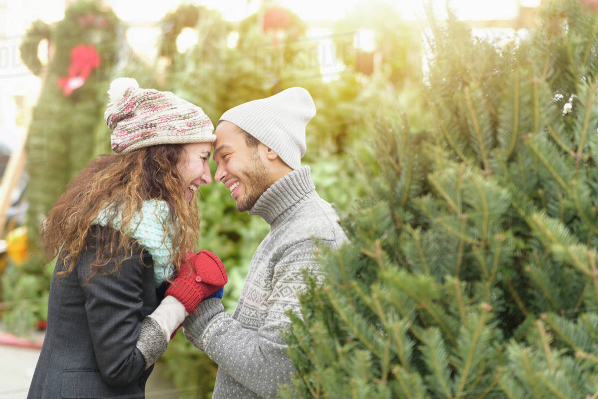 Couple hugging at Christmas tree farm - Royalty-free Stock Photo | Dissolve