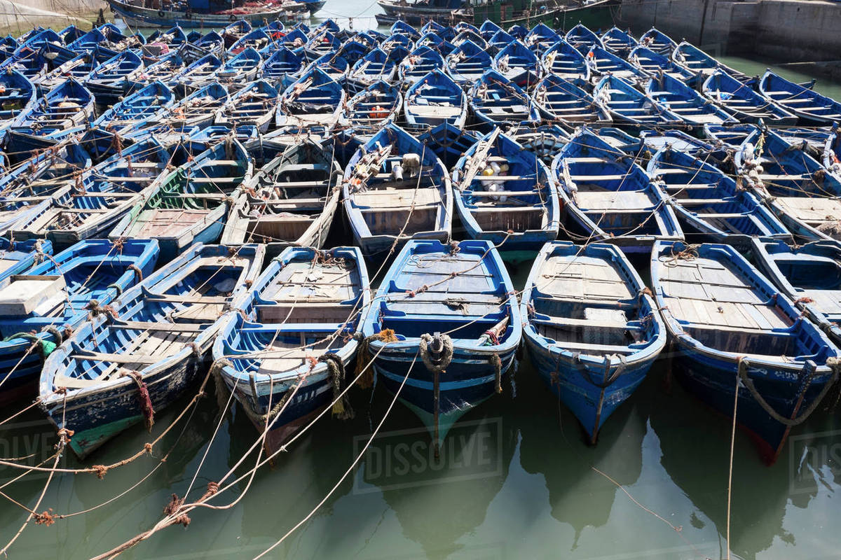 Blue boats secured with rope - Stock Photo - Dissolve