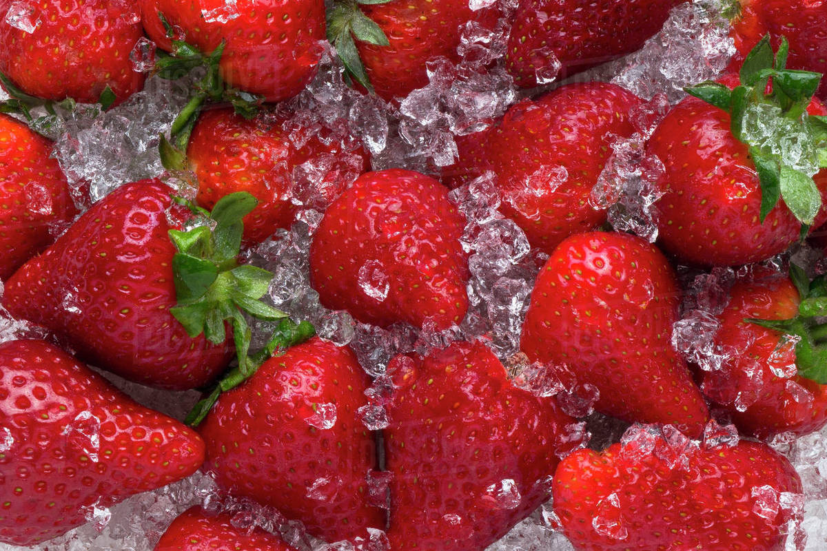 Strawberries on ice - Stock Photo - Dissolve