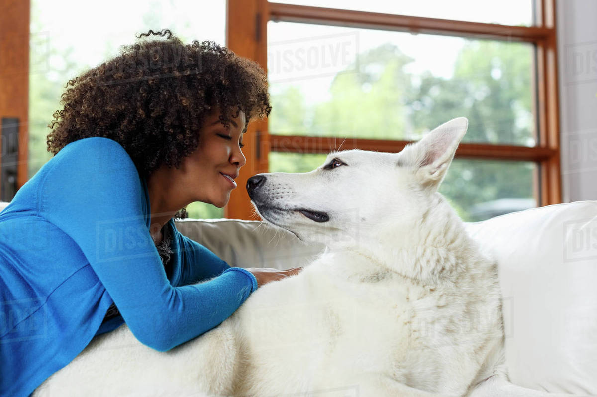 Smiling Black woman face to face with white dog on sofa - Royalty-free ...