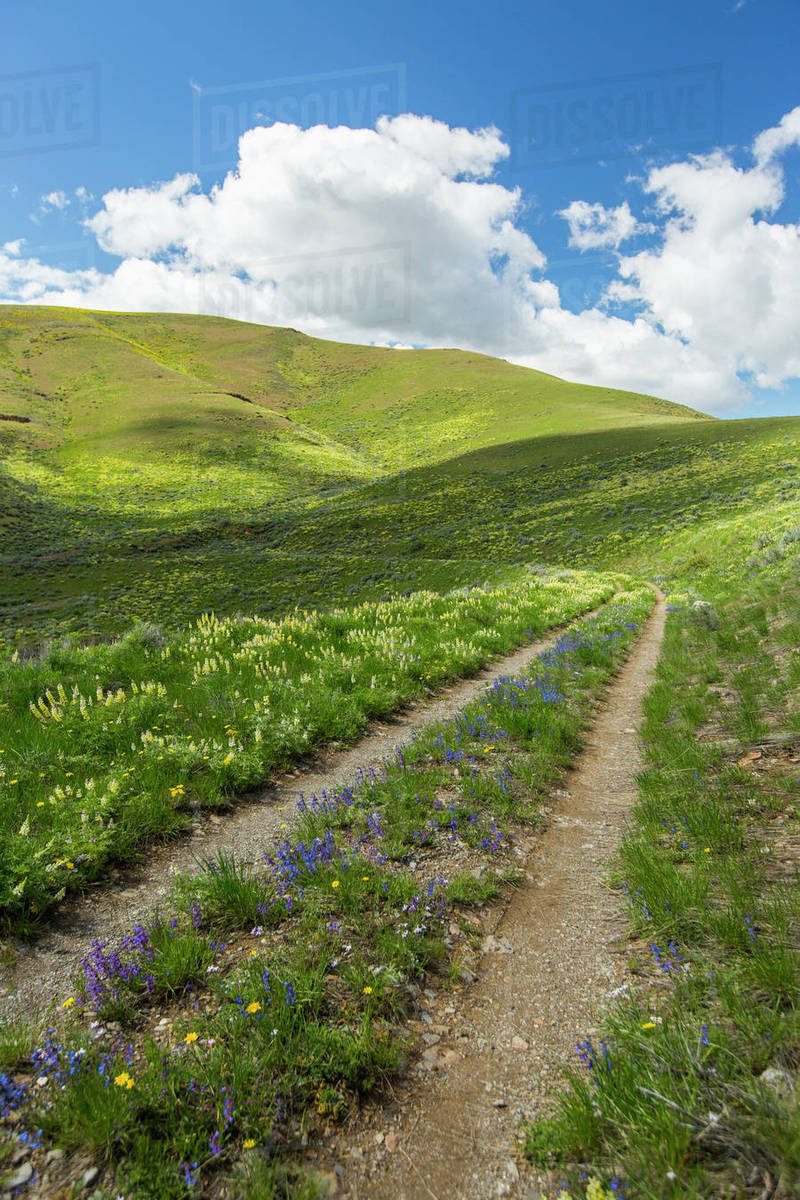 Dirt path in rolling landscape - Stock Photo - Dissolve