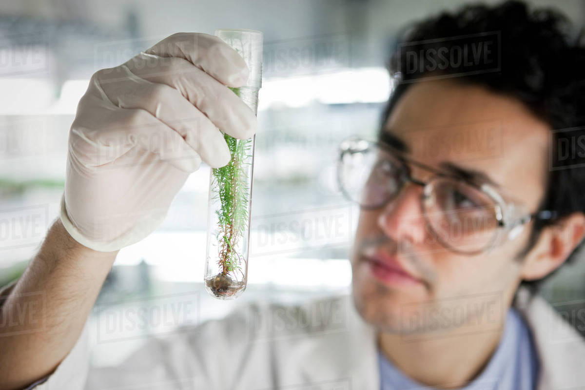 Middle Eastern scientist holding specimen in vial - Stock Photo - Dissolve