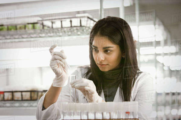 Indian scientist working in laboratory - Stock Photo - Dissolve