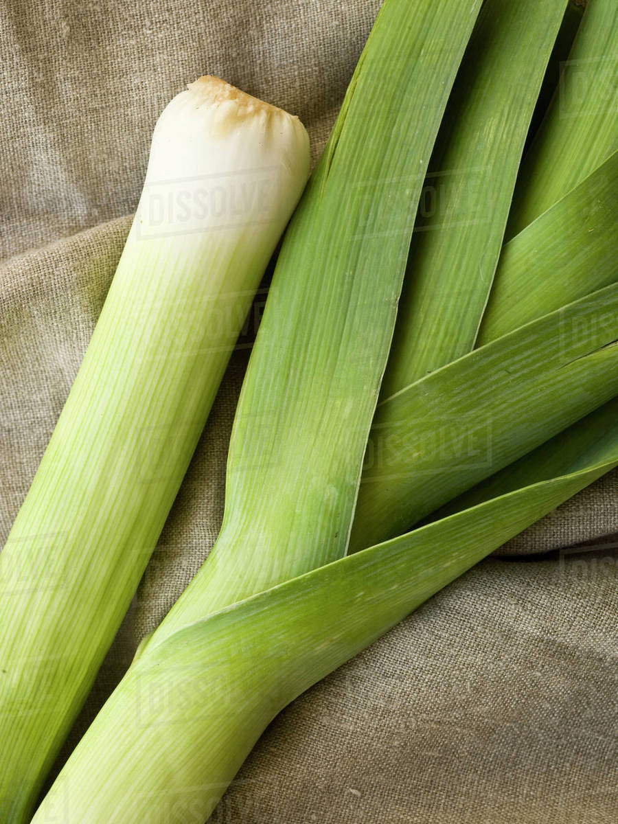 Close up of leek stalk - Royalty-free Stock Photo | Dissolve