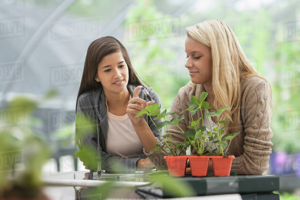 Students working in greenhouse - Royalty-free Stock Photo | Dissolve