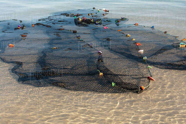 Fishing nets spread out in the shallow water on the shore in Ankasy ...