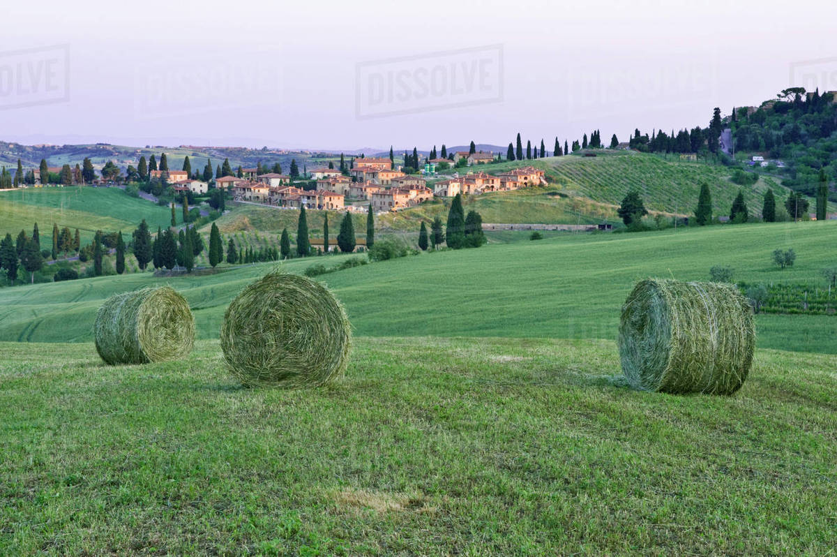 Spring Hay Harvest - Royalty-free Stock Photo | Dissolve