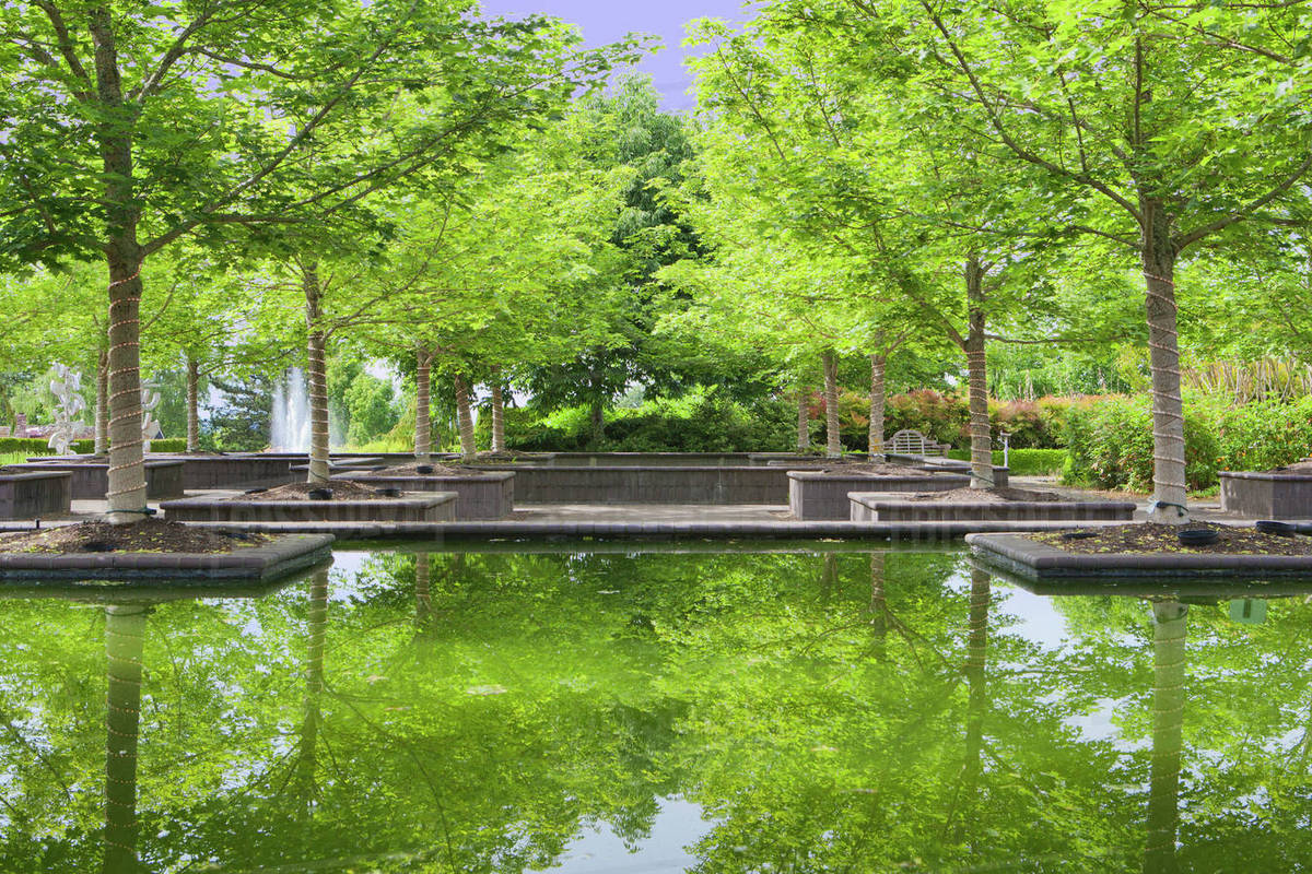 Bosque Garden Plaza reflecting pools at Oregon Gardens - Royalty-free ...