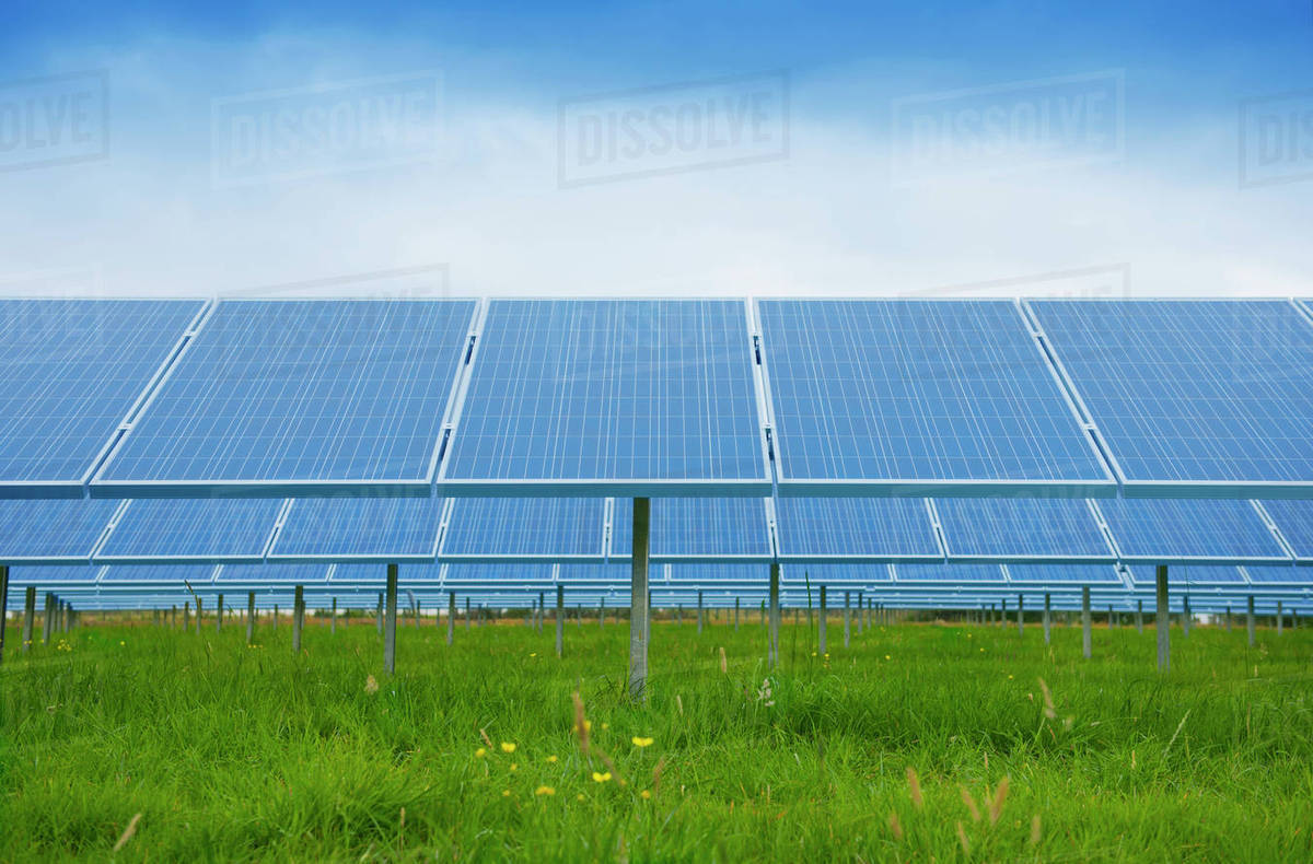 Solar panels in field - Stock Photo - Dissolve