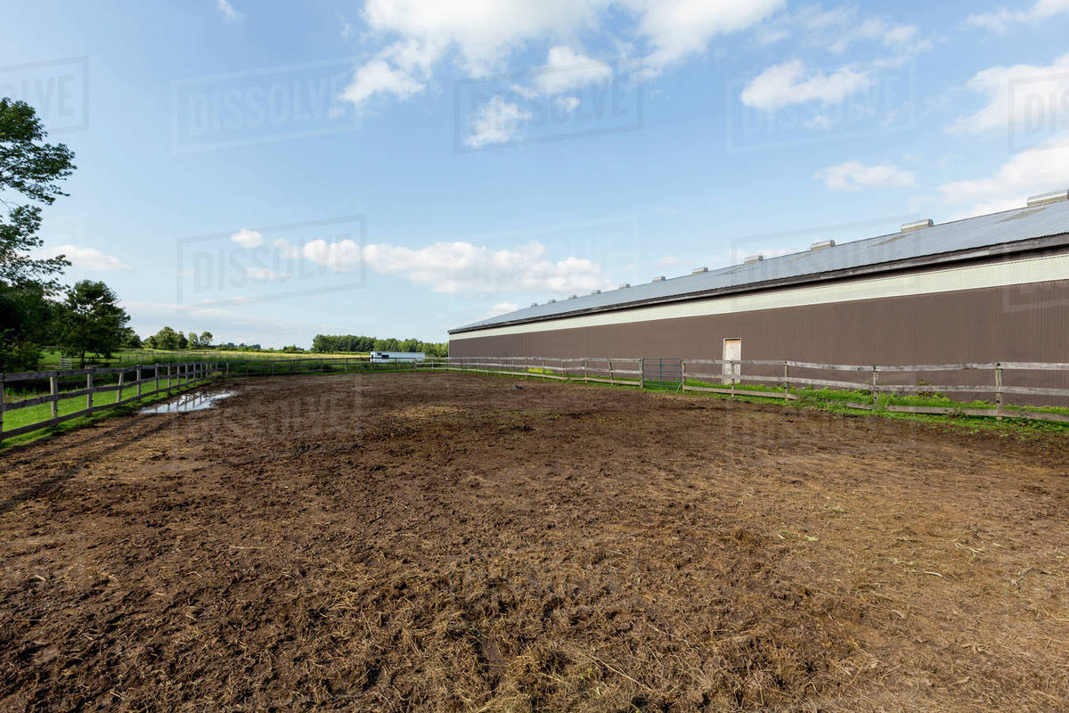 Empty riding ring on horse farm - Royalty-free Stock Photo | Dissolve