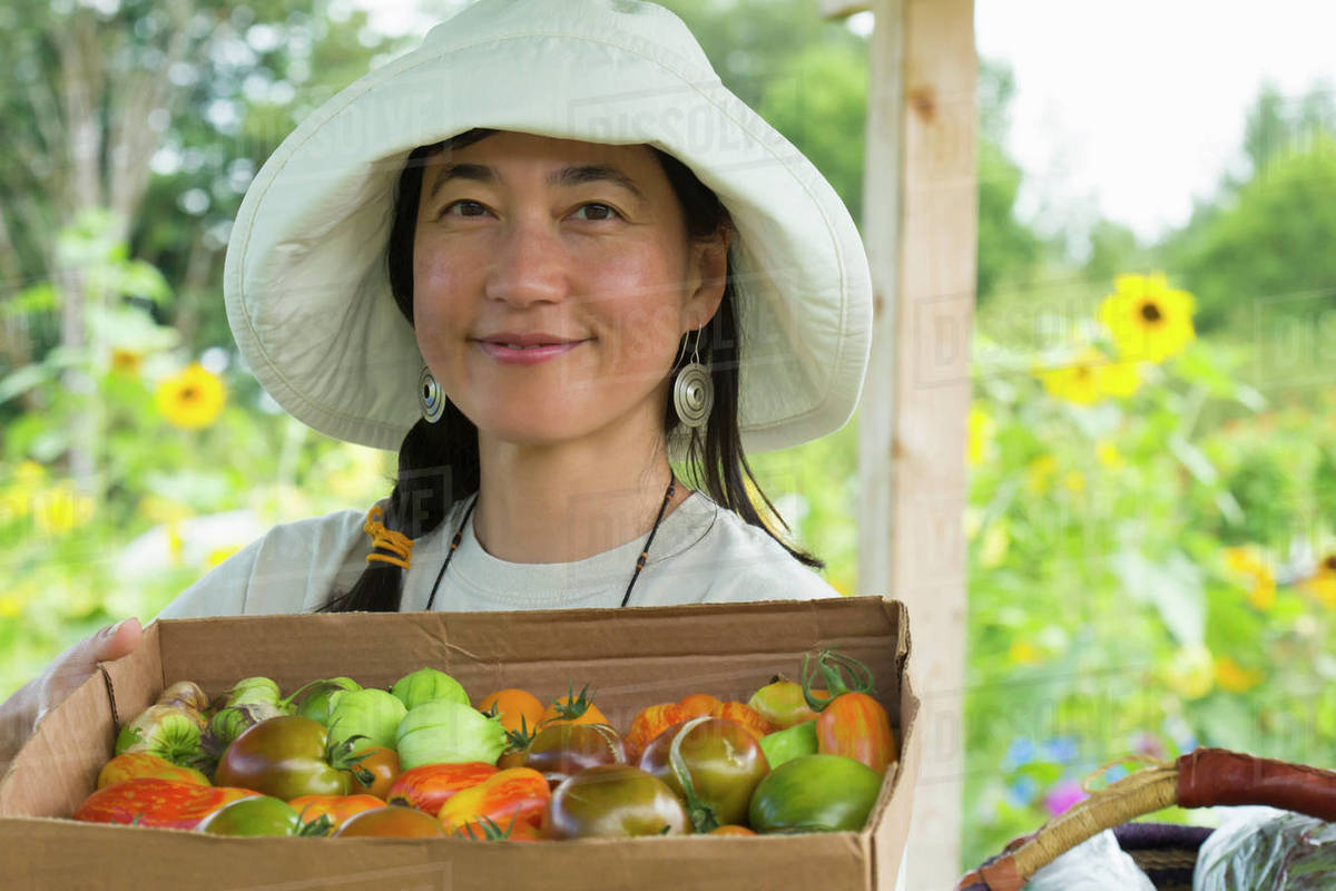 Japanese farmer harvesting produce on farm - Royalty-free Stock Photo ...