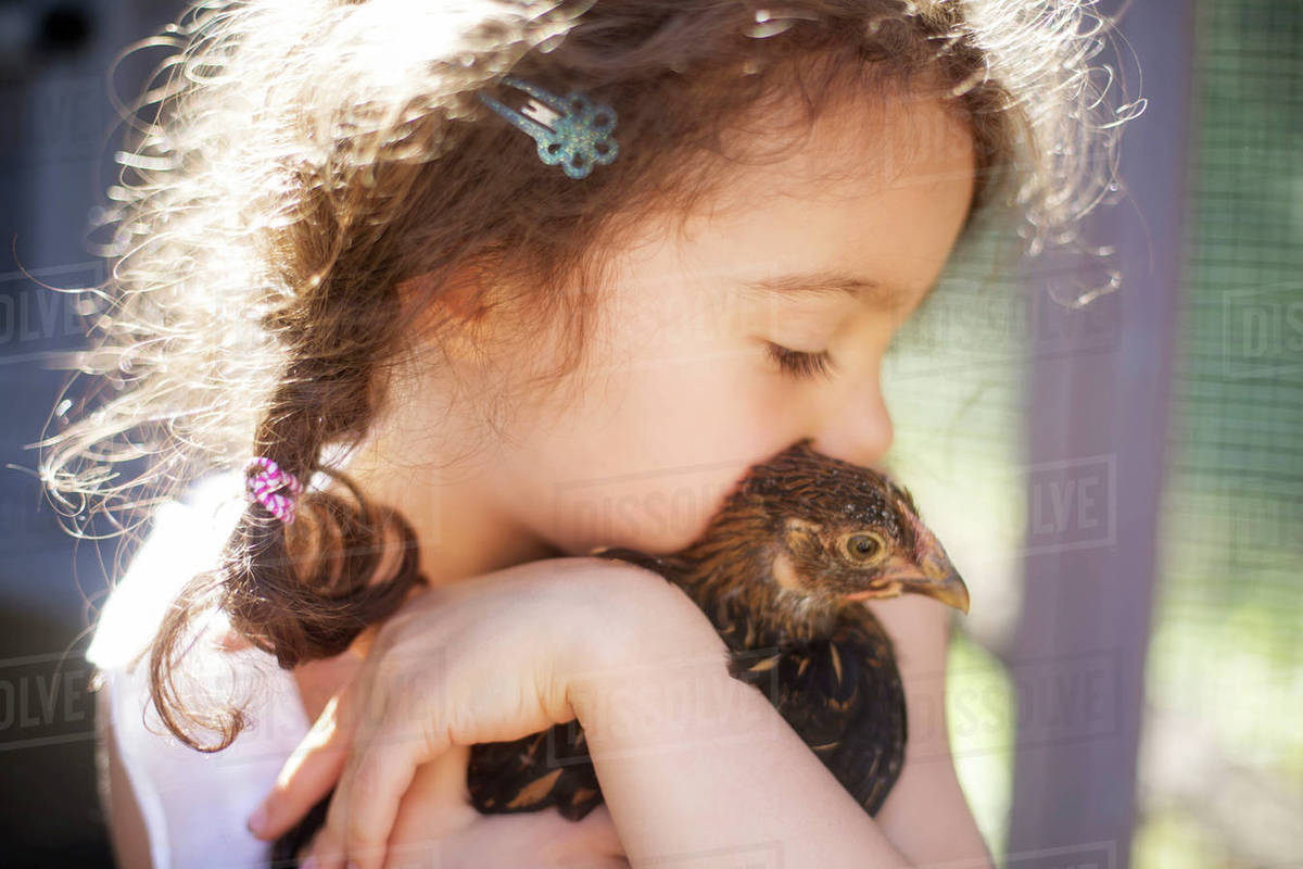 Close up of girl hugging chicken on farm - Stock Photo - Dissolve