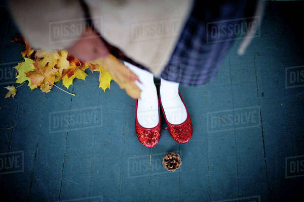 Girl wearing red slippers near pinecone - Stock Photo - Dissolve