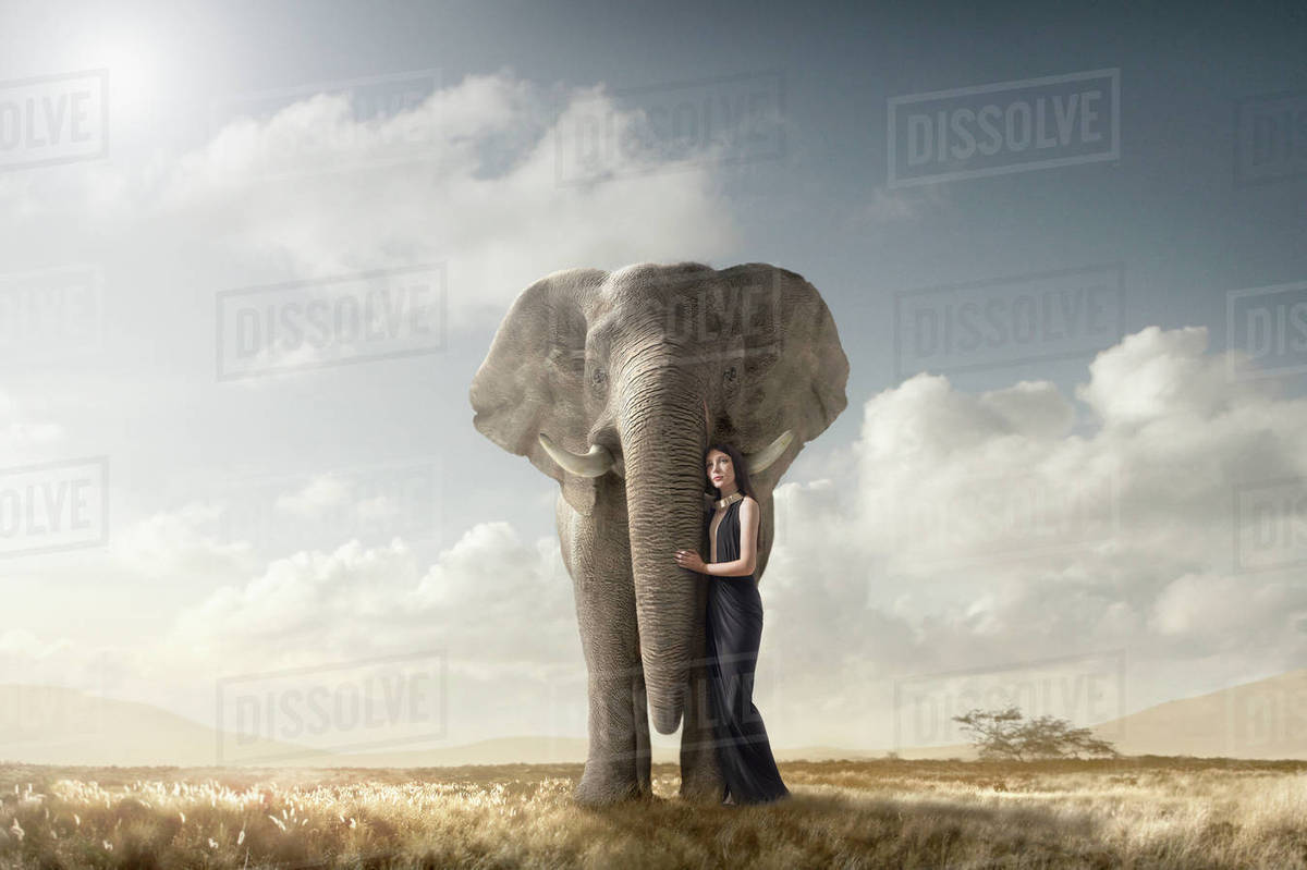 Woman hugging elephant in remote field - Stock Photo - Dissolve