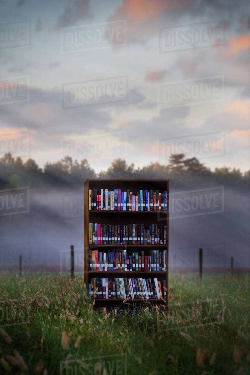Books in bookcase in field - Stock Photo - Dissolve
