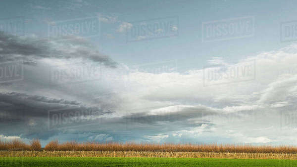 Clouds over field - Royalty-free Stock Photo | Dissolve