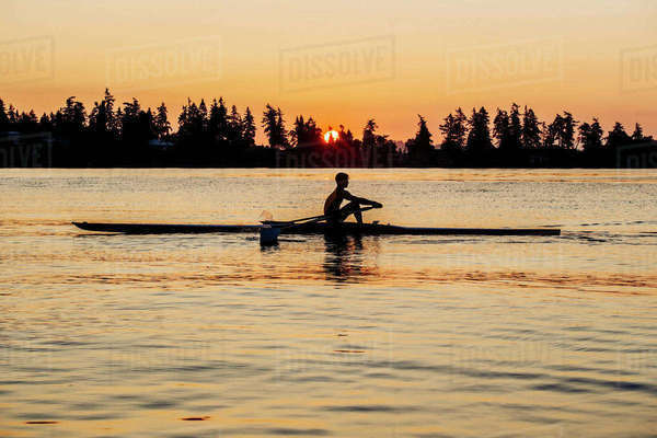 Silhouette of Caucasian man rowing at sunset - Royalty-free Stock Photo ...