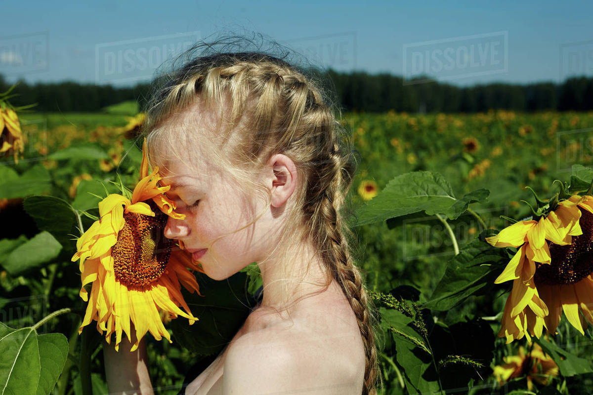 Caucasian girl smelling sunflower - Royalty-free Stock Photo | Dissolve