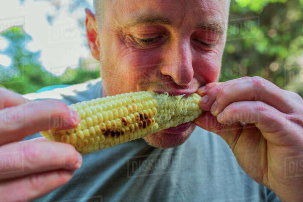 Close up of man eating corn on the cob - Royalty-free Stock Photo ...