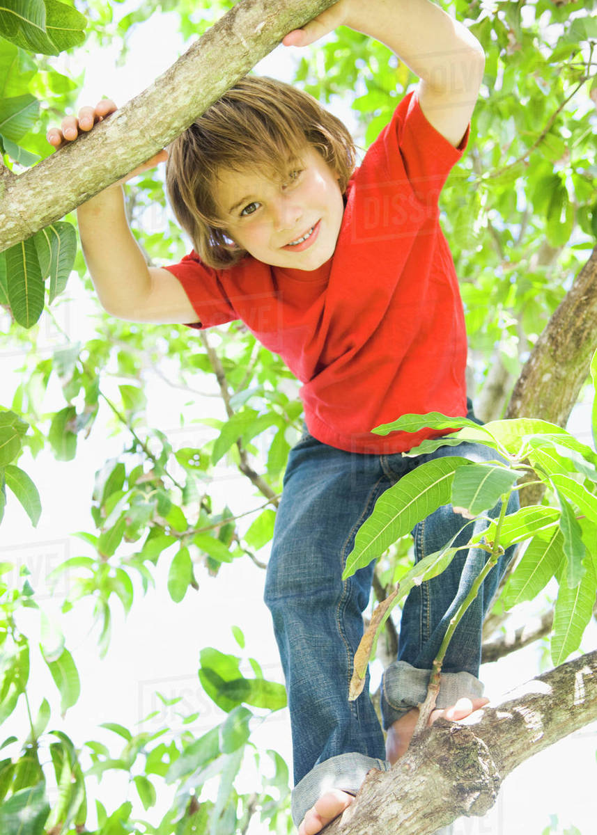 Boy smiling in tree - Royalty-free Stock Photo | Dissolve