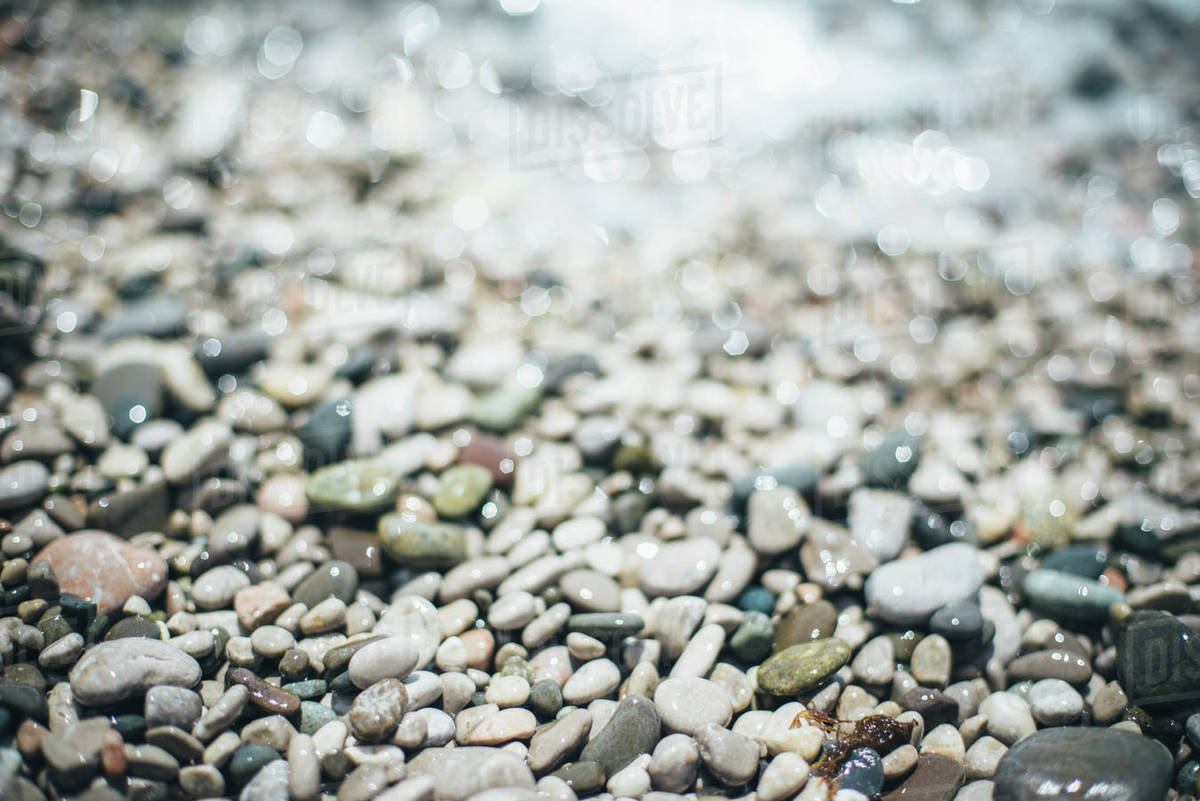 Wet pebbles at beach - Stock Photo - Dissolve