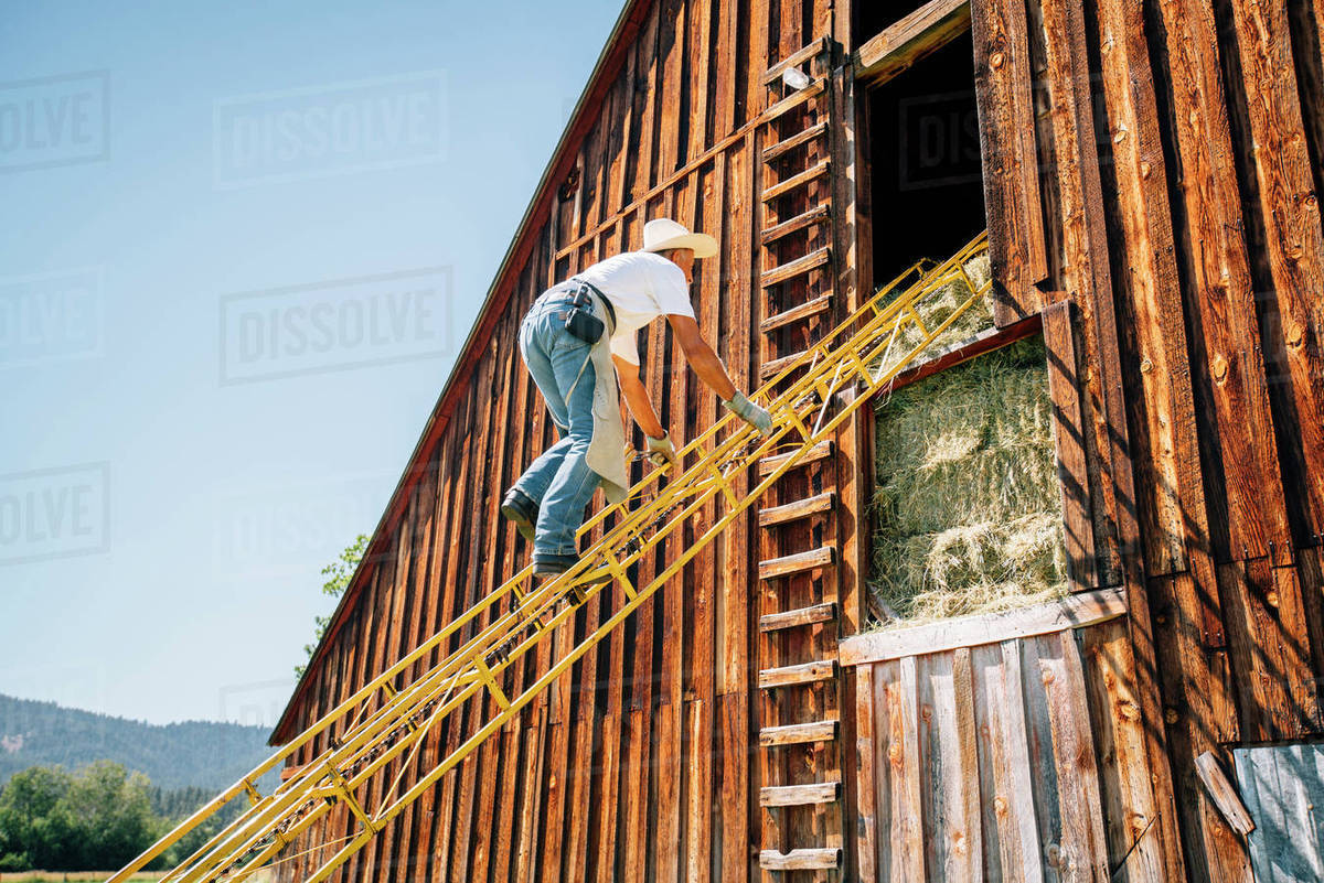 Caucasian farmer climbing ladder to barn - Royalty-free Stock Photo ...