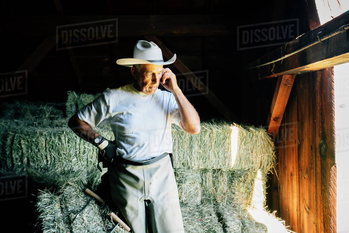 Caucasian farmer in barn talking on cell phone - Royalty-free Stock ...