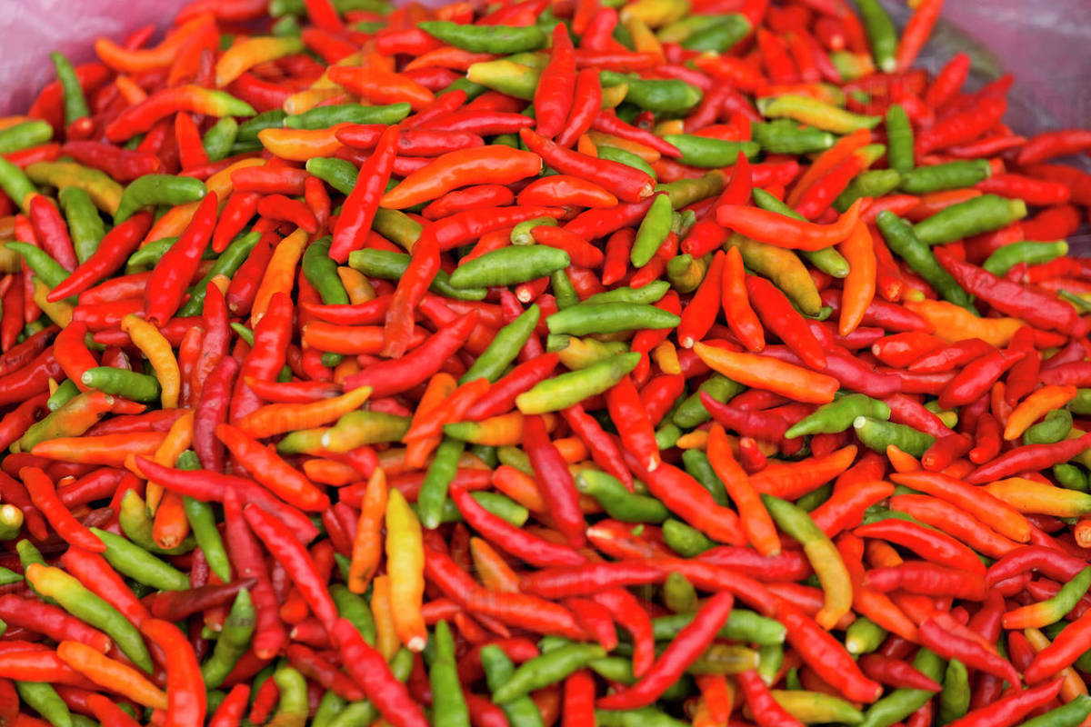 Close up of pile of peppers - Royalty-free Stock Photo | Dissolve